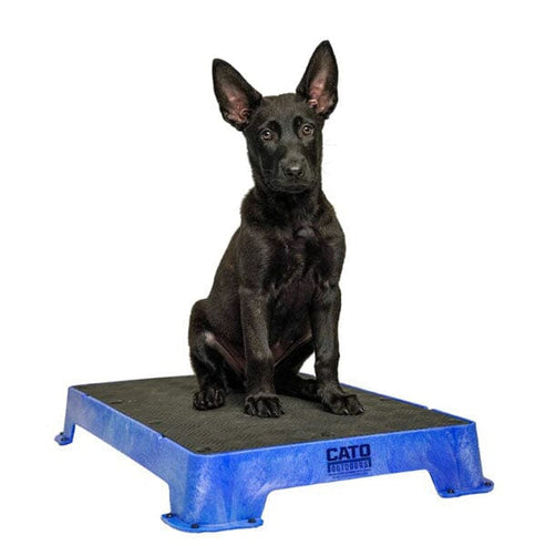 Cato Board Dog Training Platform – No‑Tip Place Board 16" × 24 ...