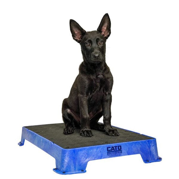 Cato Board Dog Training Platform – No‑Tip Place Board 16" × 24 ...