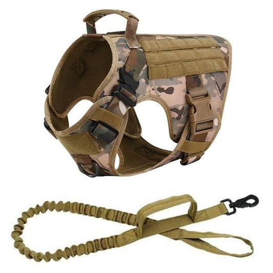 Dog Training Harnesses with Patches – Tracking, Sport, and K9 Use ...