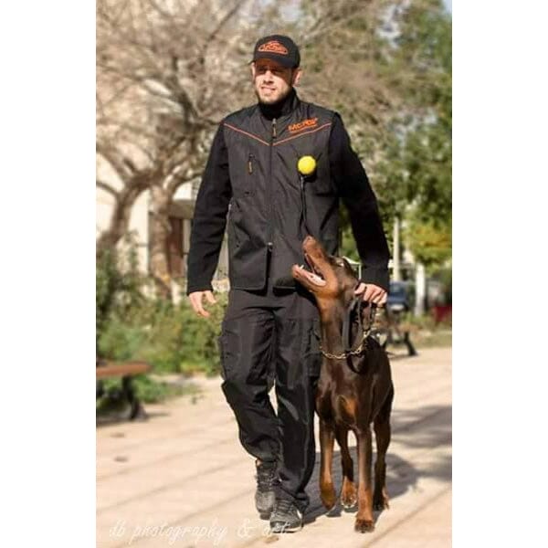 K9 Evolution MCRS Magnet Vest – Water‑Repellent Training Gear – German ...