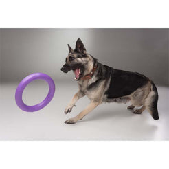 Puller Fitness Tool 2‑Pack – Interactive Training Rings for Dogs ...