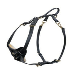 Ray Allen Biothane Multifunction Harness – Waterproof & Heavy-Duty ...